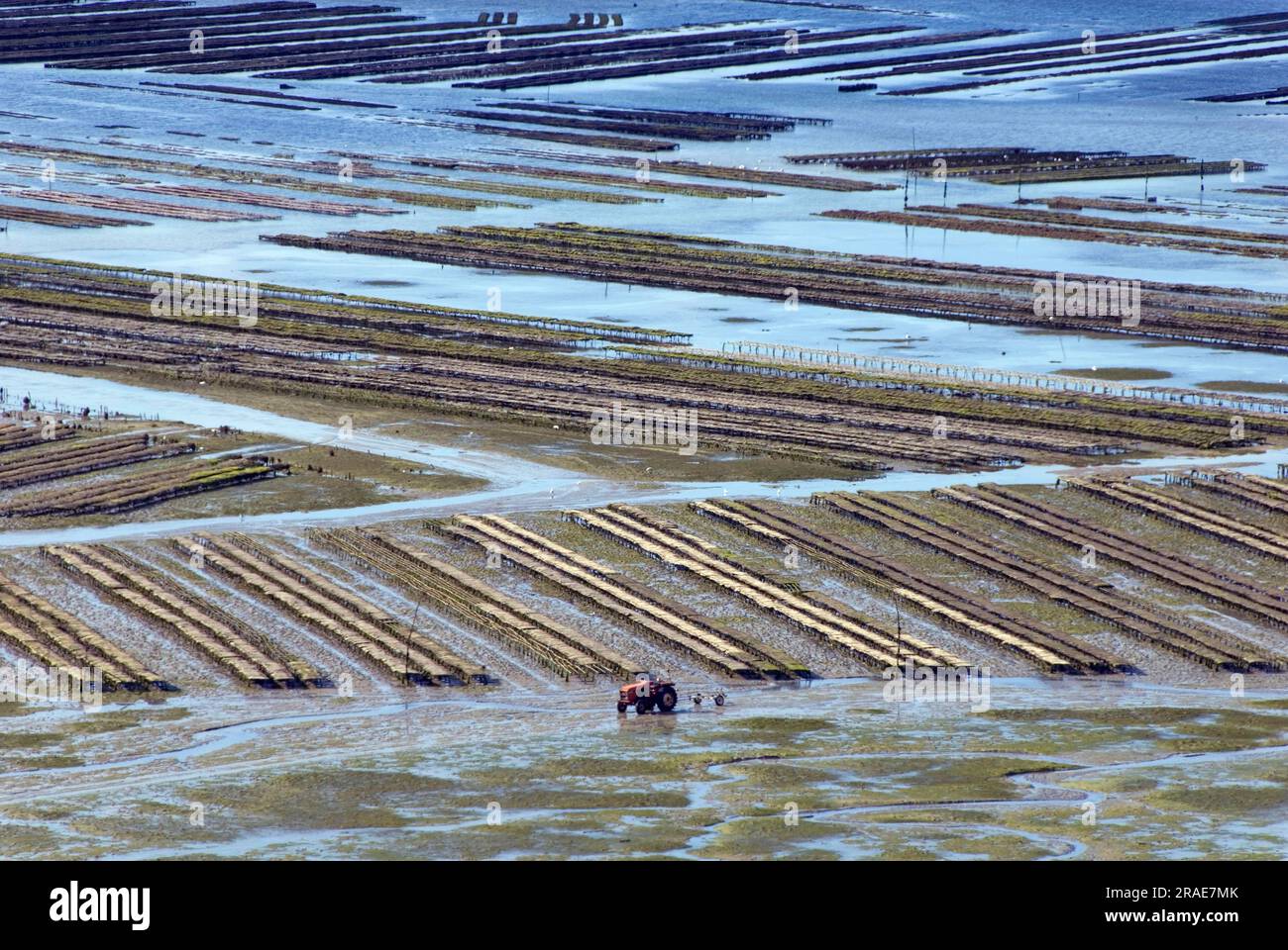 Mussel farm hi-res stock photography and images - Alamy