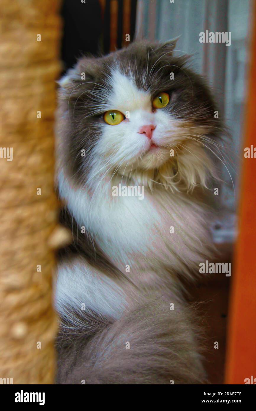 Enchanting settings hi-res stock photography and images - Alamy