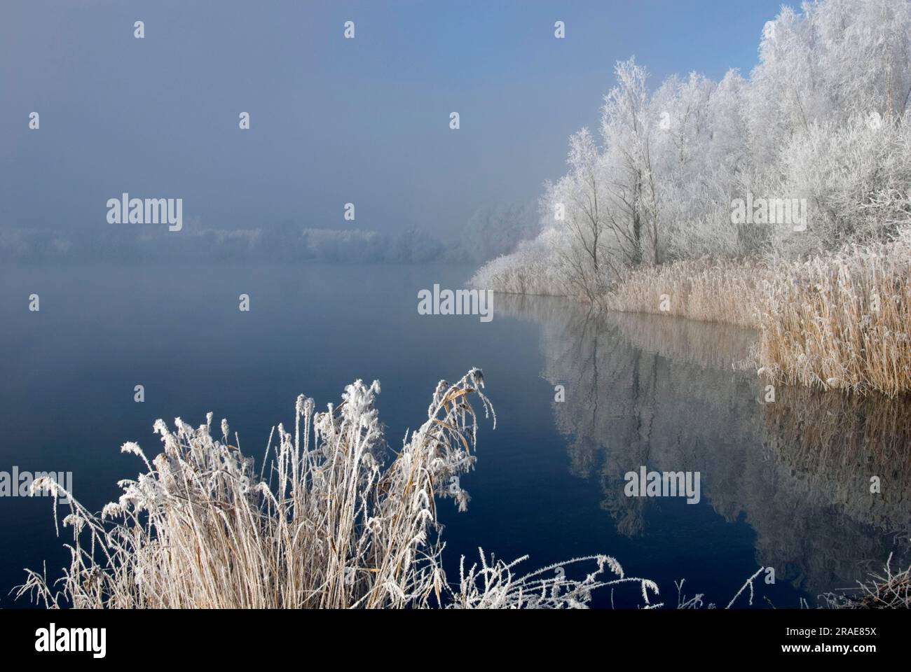 Peine district hi-res stock photography and images - Alamy