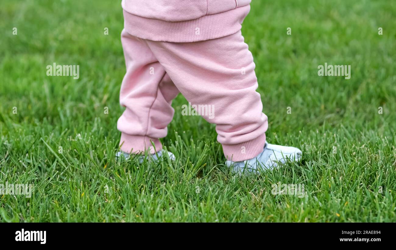Toddler legs learning to walk independently on green grass Stock Photo ...