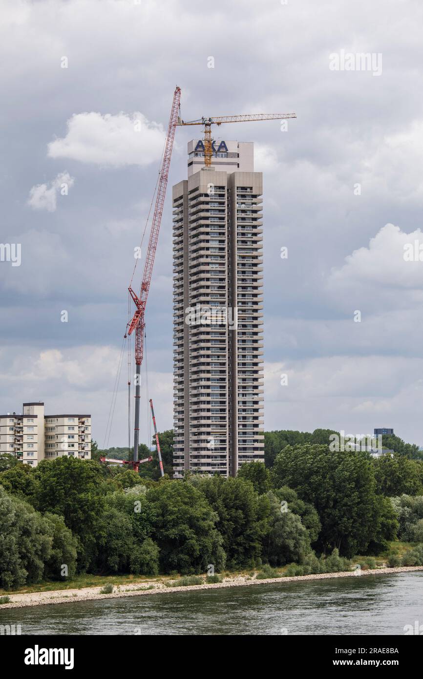 155 meter high truck-mounted crane lifts crane parts onto the roof of ...