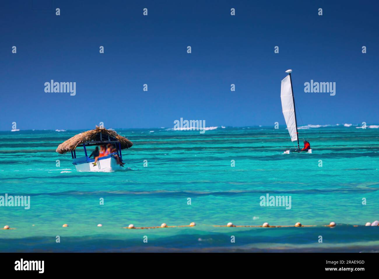 Dominican cayman hi-res stock photography and images - Alamy