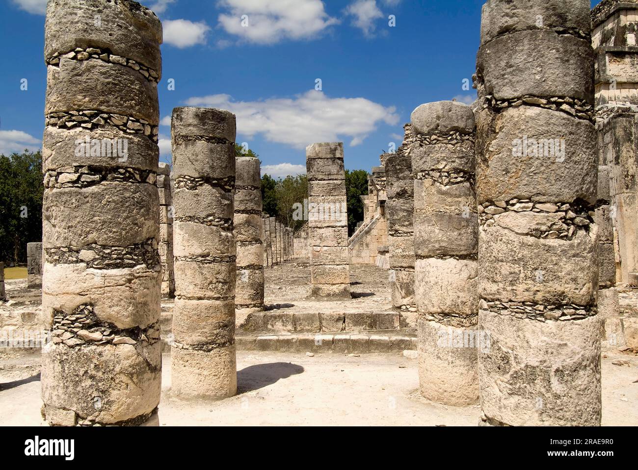 Pillars of the Temple of the Warriors, Templo los Guerreros, Chichen ...