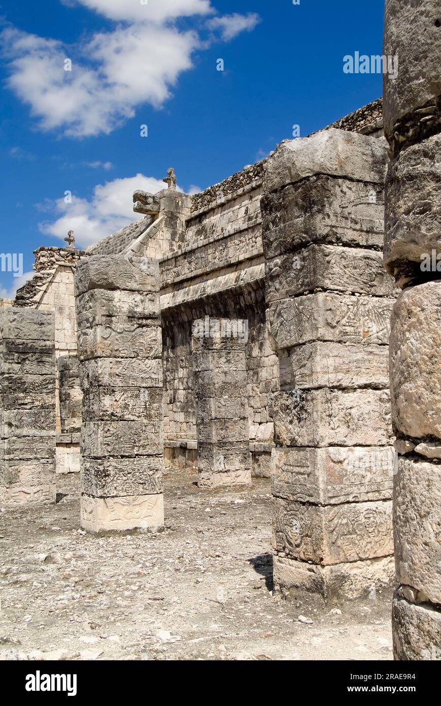 Pillars of the Temple of the Warriors, Templo los Guerreros, Chichen ...