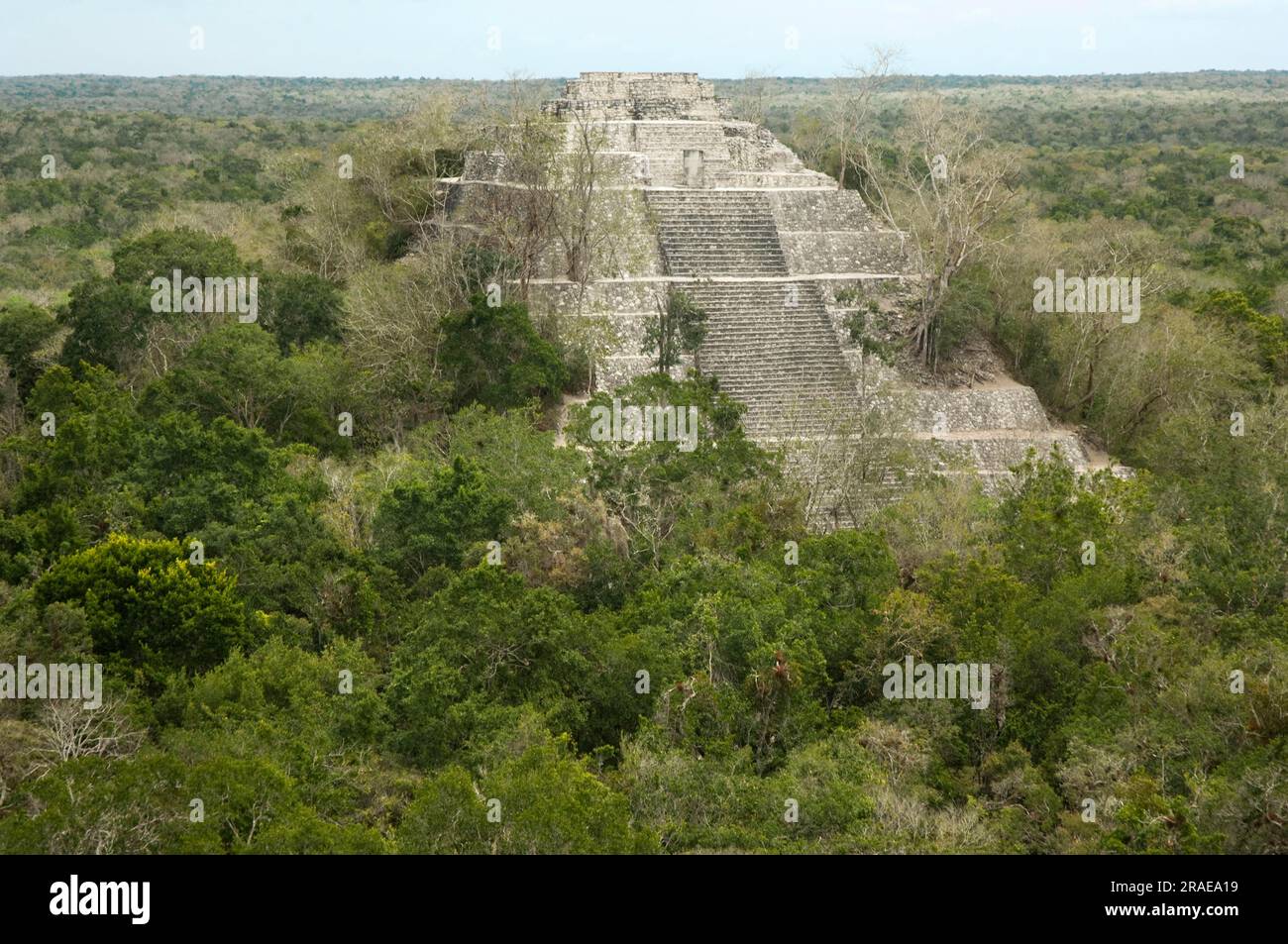 Pyramid of Structure I, Calakmul, Campeche, Yucatan, Mexico Stock Photo ...