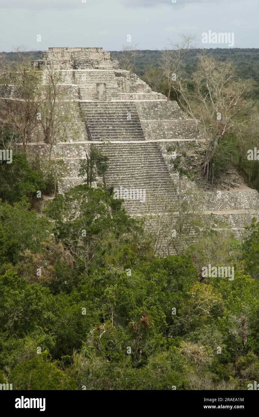 Pyramid of Structure I, Calakmul, Campeche, Yucatan, Mexico Stock Photo ...