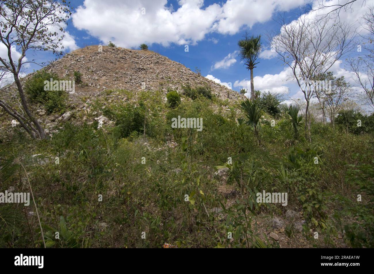 The Great Pyramid, Kabah, Yucatan, Mexico Stock Photo - Alamy