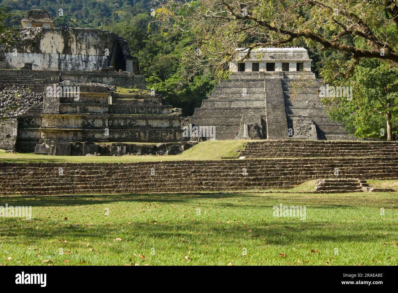 Temple of the Inscriptions, Templo las Inscripciones, Palenque, Chiapas ...