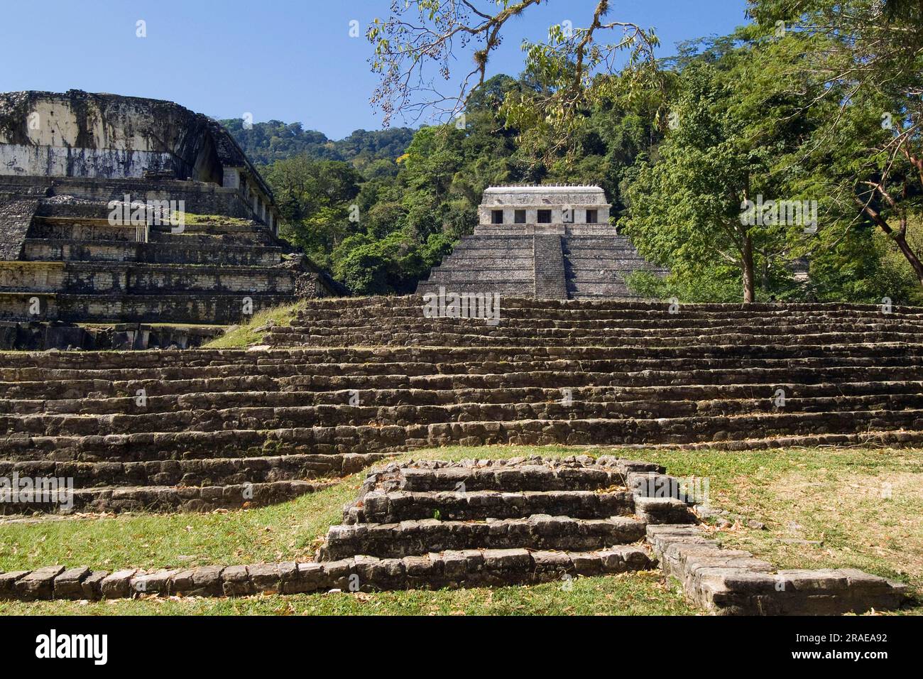 Temple of the Inscriptions, Templo las Inscripciones, Palenque, Chiapas ...