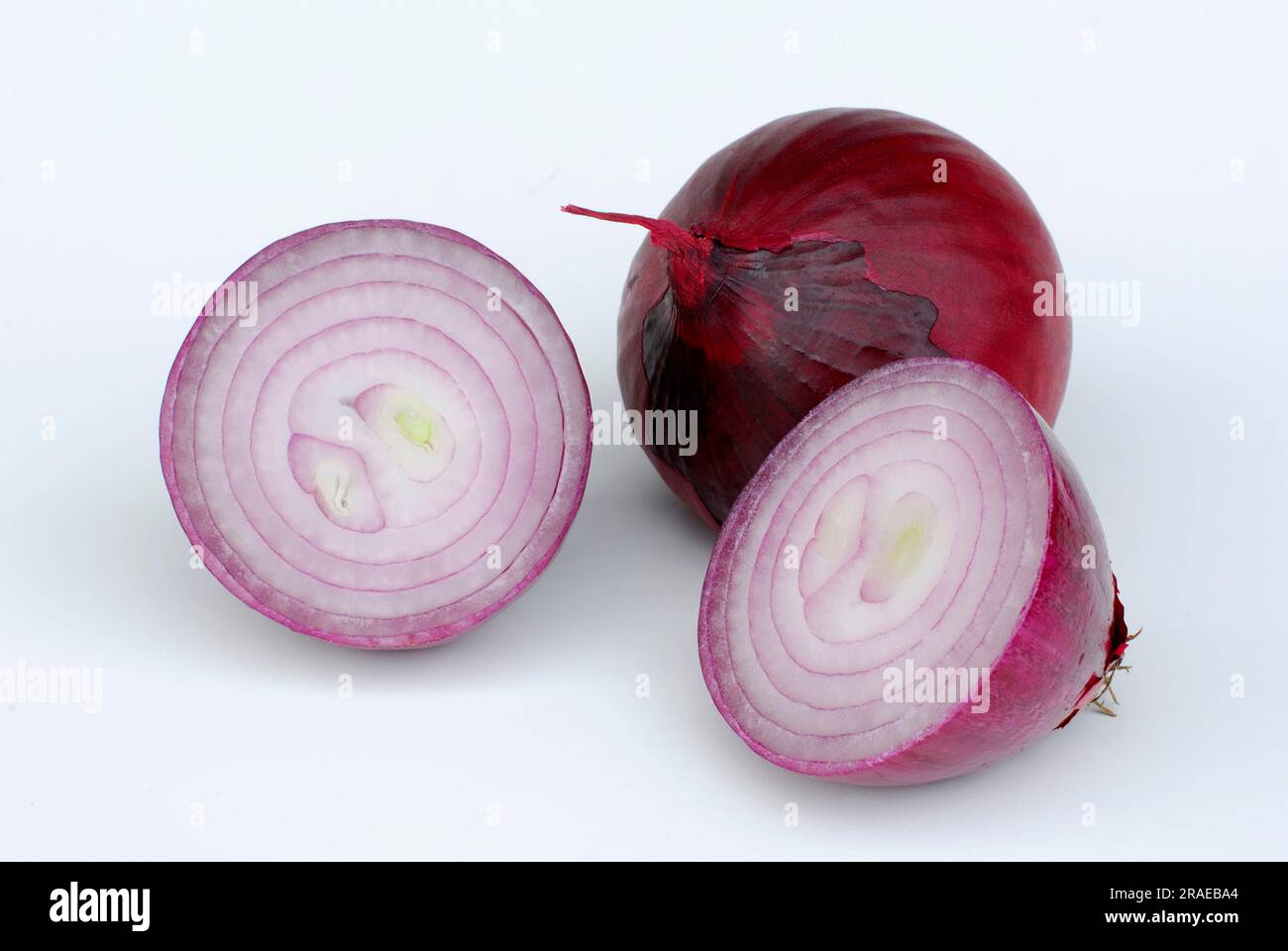 Allium cepa studio photography hi-res stock photography and images - Alamy