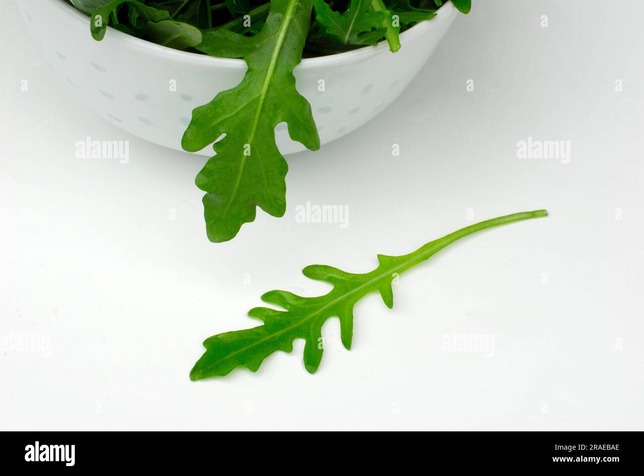 Rucola (Eruca vesicaria sativa) in shell, salad rocket, garden rocket ...