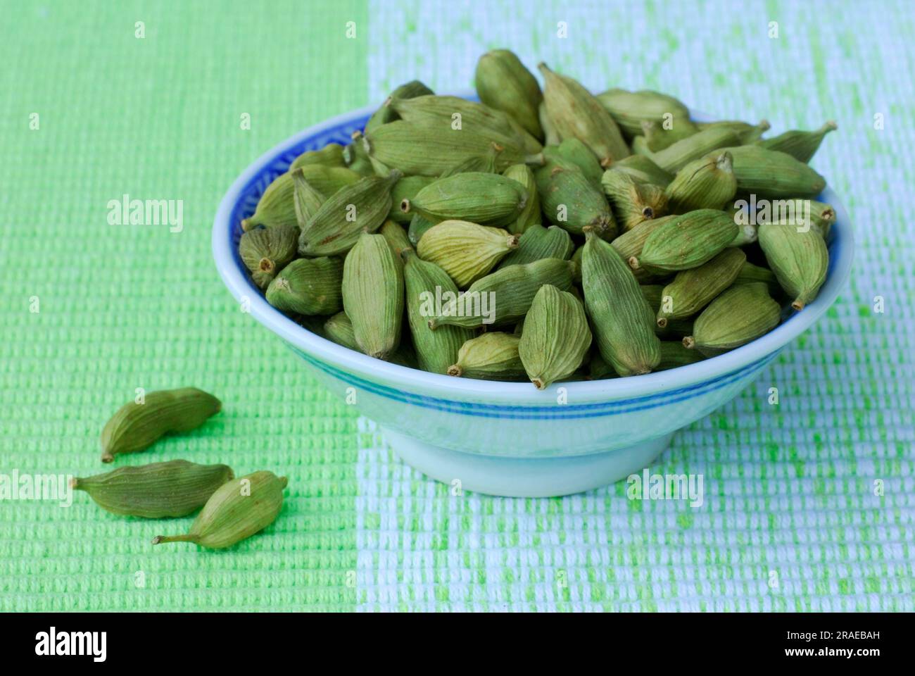 Capsules fruit botany hi-res stock photography and images - Alamy