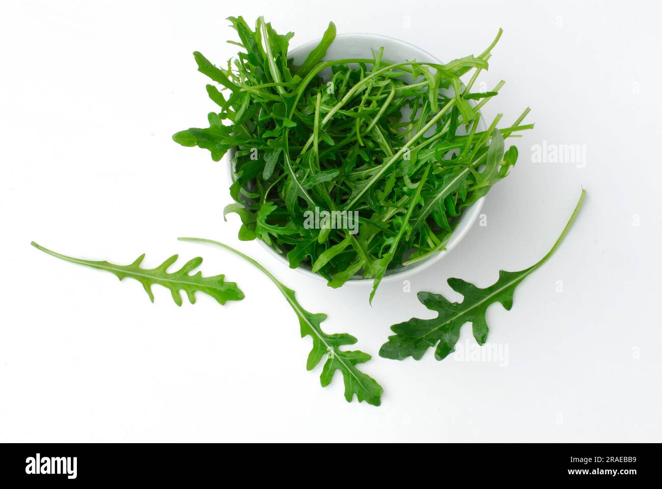 Rucola (Eruca vesicaria sativa) in shell, salad rocket, garden rocket ...