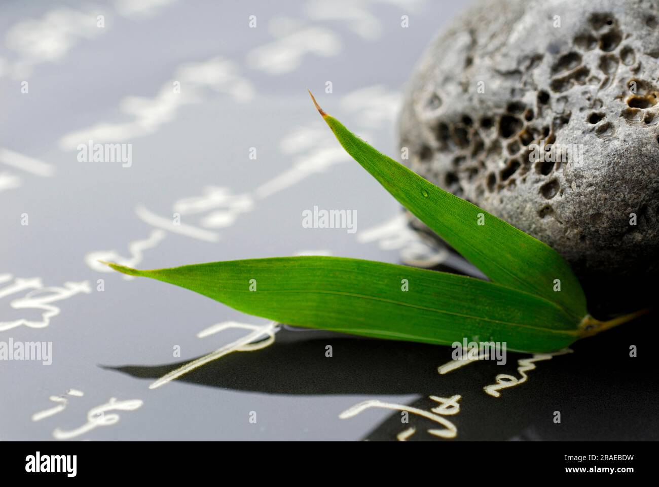 Stone, bamboo leaves and Japanese characters (Phyllostachys bambusoides ...
