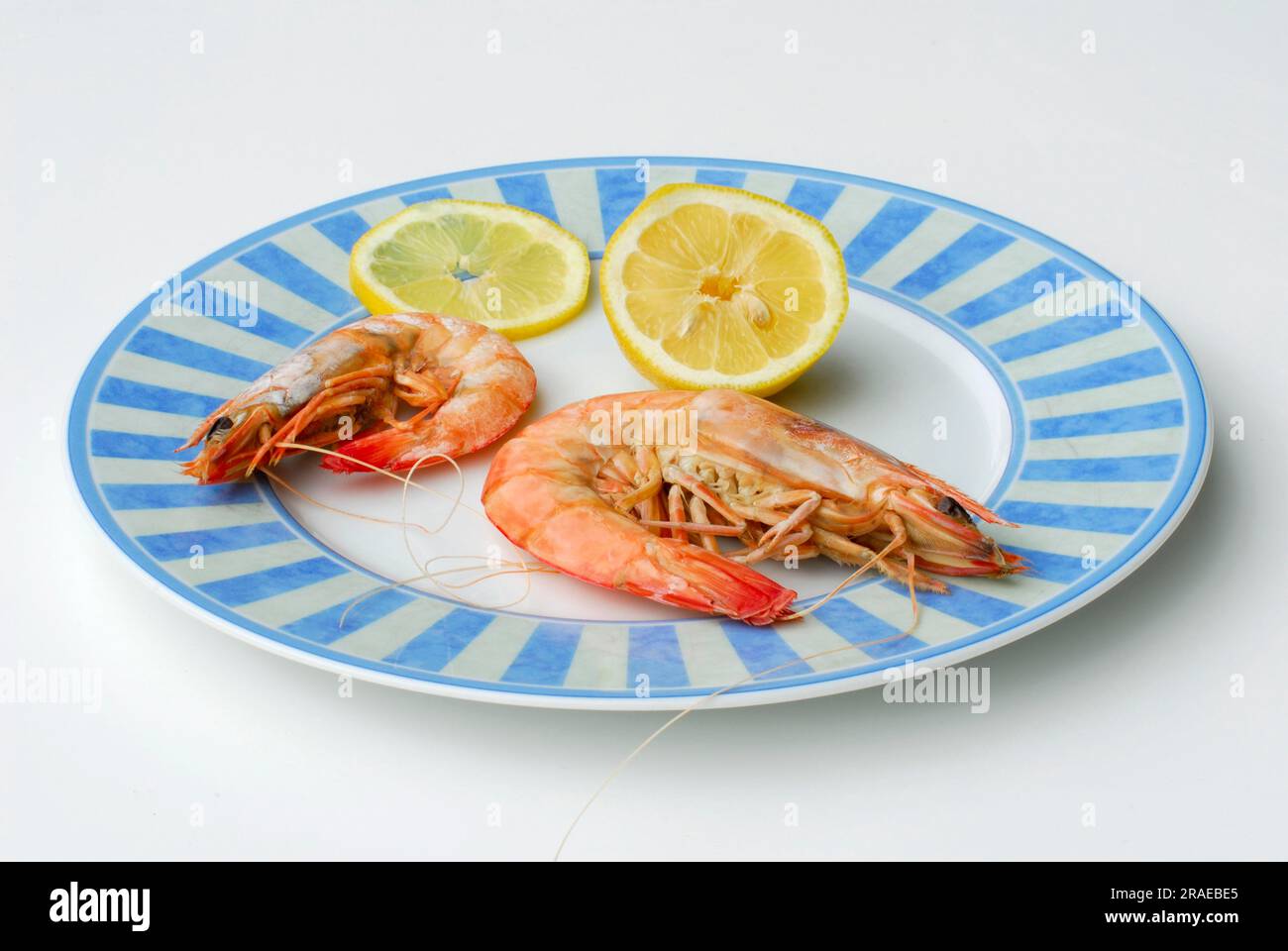 Australian flagellate shrimp (Penaeus plebejus) and lemon on plate ...