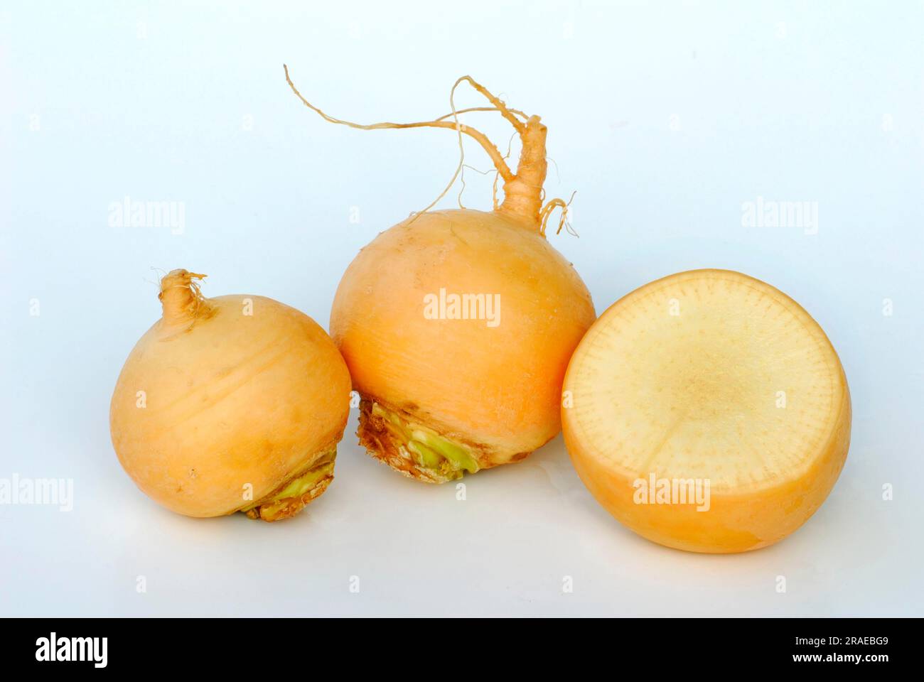 Butter beet, turnip, butter beet, turnip Stock Photo - Alamy