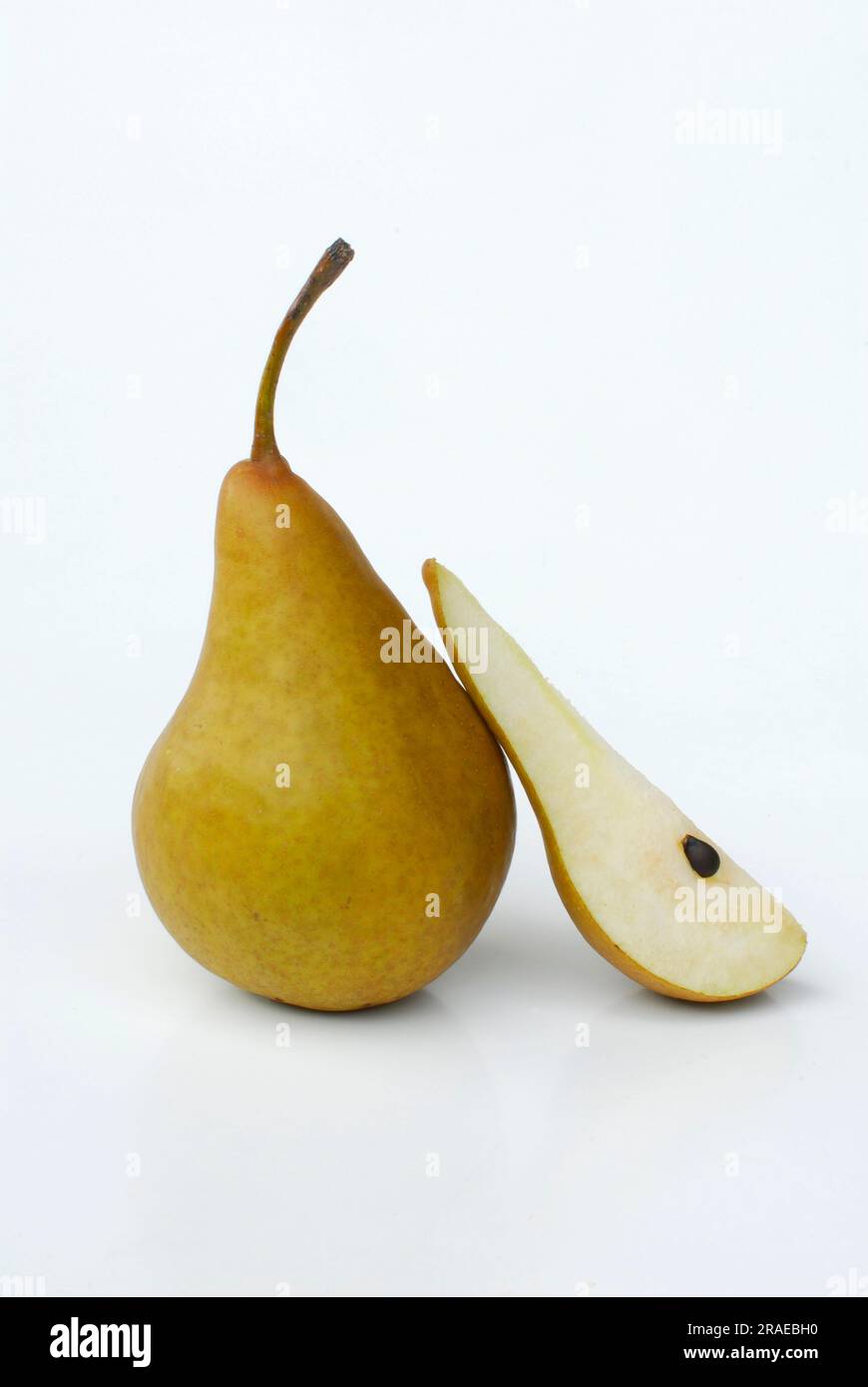 List of trees of iran hi-res stock photography and images - Alamy