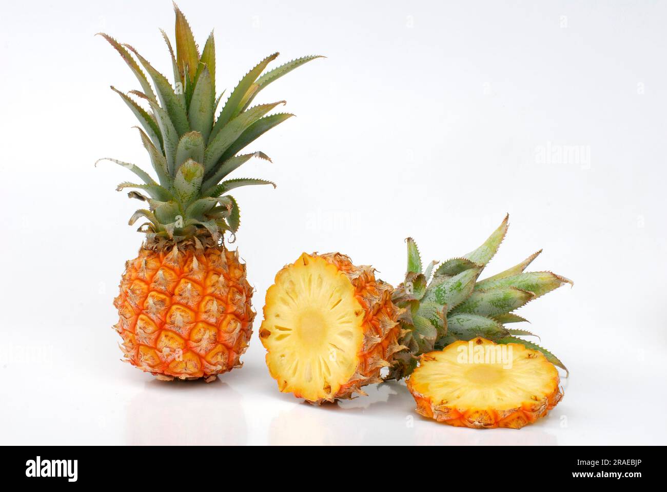 Pineapple (Ananas comosus Stock Photo - Alamy