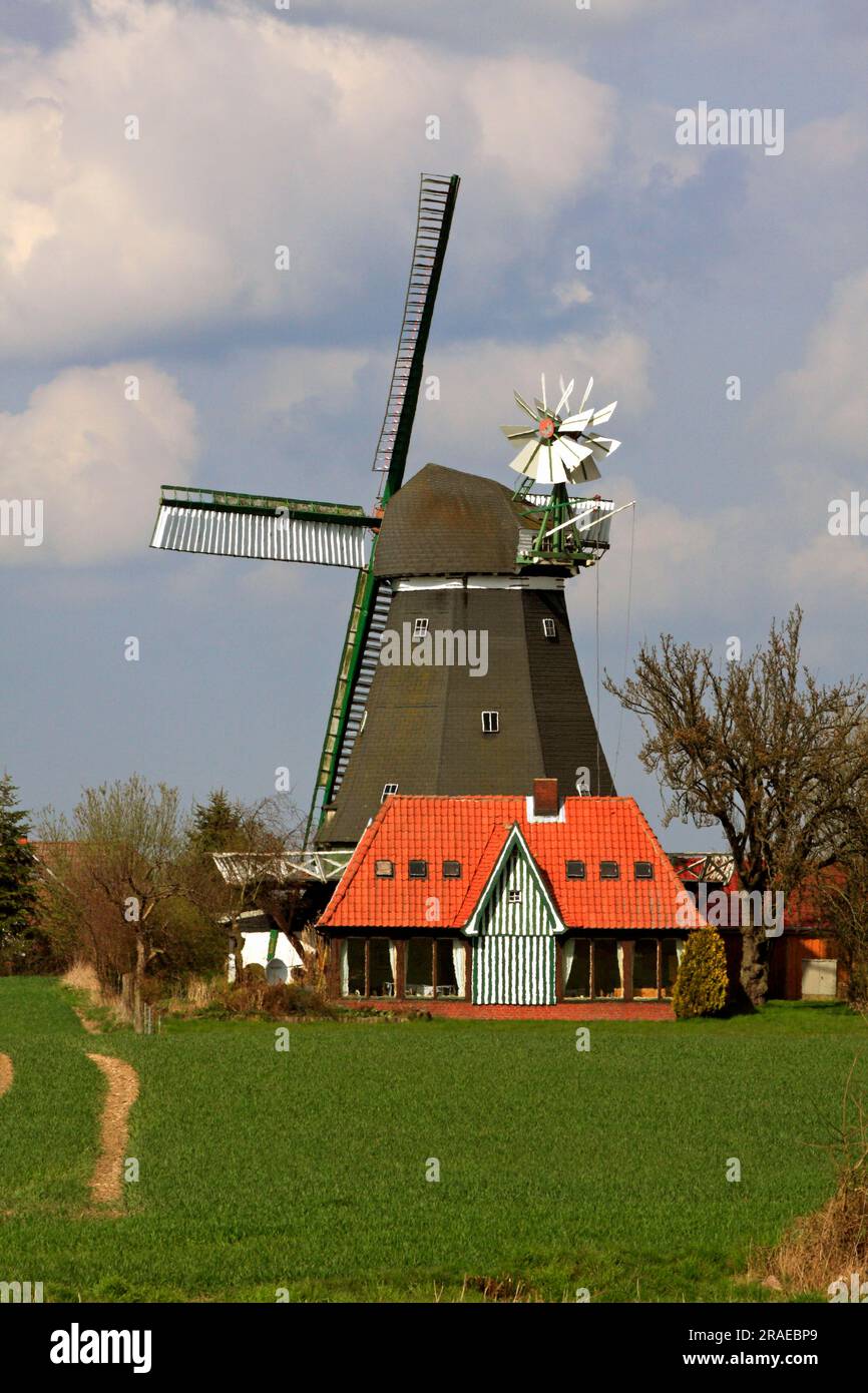 Siebenbaeumen hi-res stock photography and images - Alamy