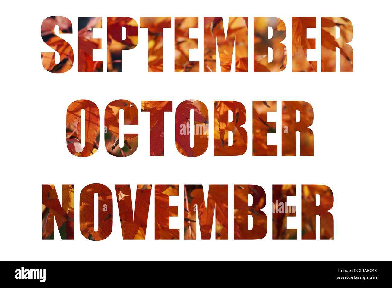 Words Autumn months from a bright red and orange leaf pattern. words ...