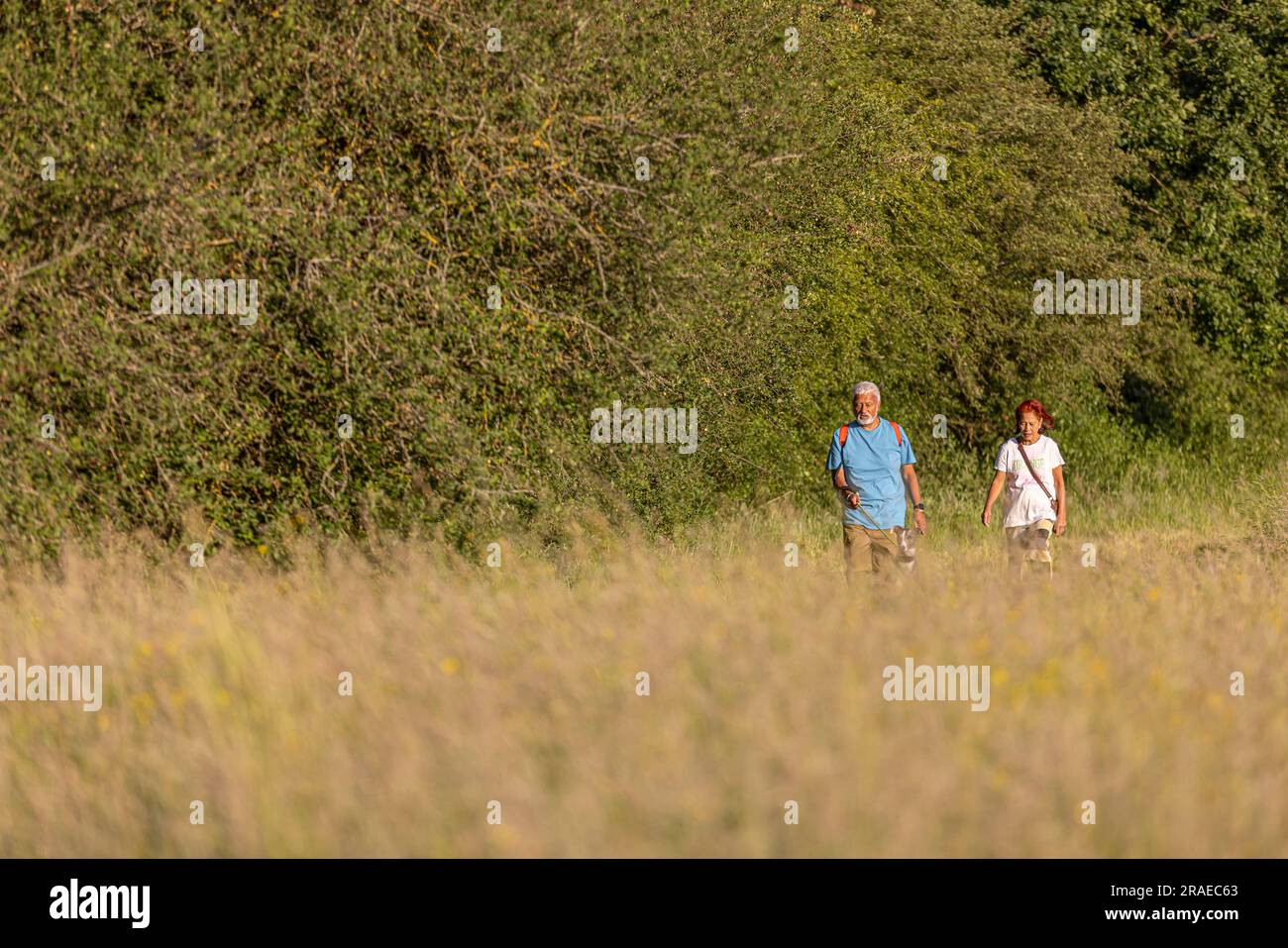 Brent, London, England, England, Local Area Photography Stock Photo - Alamy Brent, London, England, England, Local Area Photography Stock Photo - Alamy