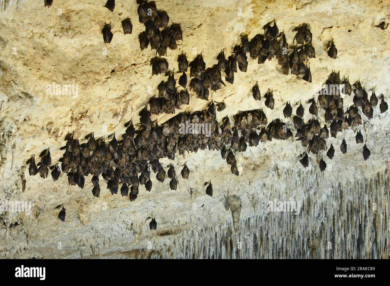 Travel sardinia geology hi-res stock photography and images - Alamy