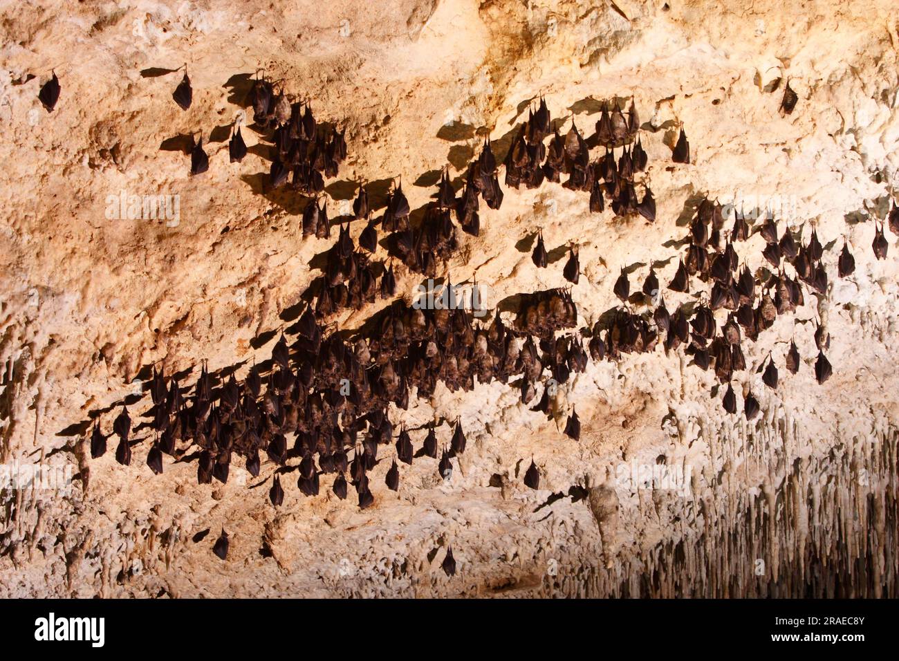 Travel sardinia geology hi-res stock photography and images - Alamy
