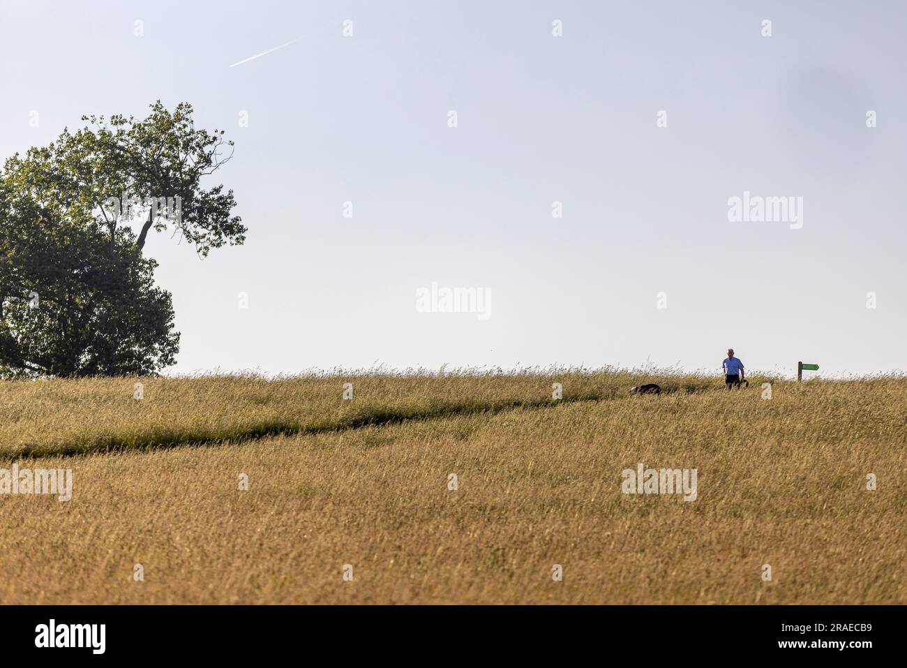 Brent, London, England, England, Local Area Photography Stock Photo - Alamy