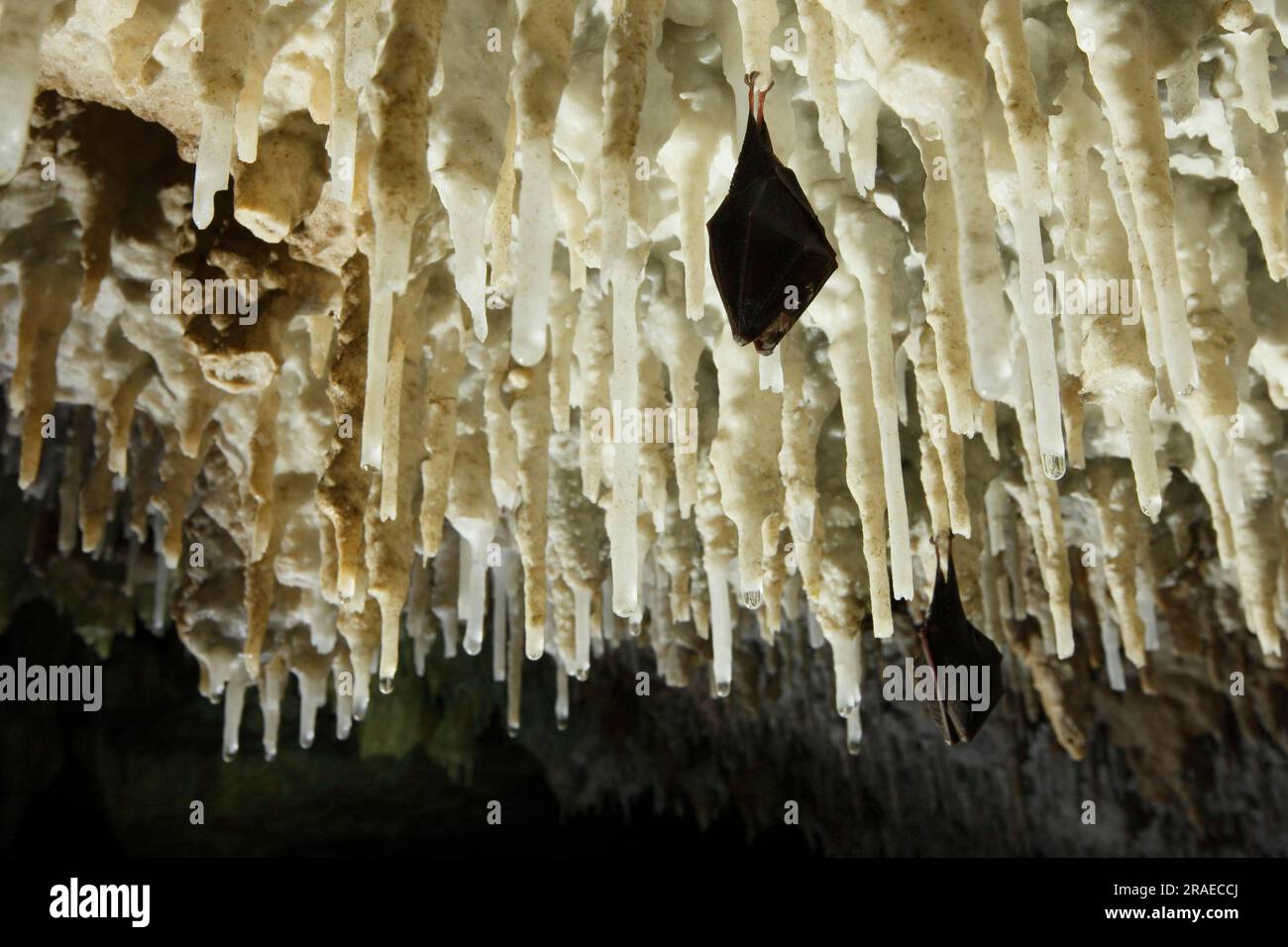 Travel sardinia geology hi-res stock photography and images - Alamy