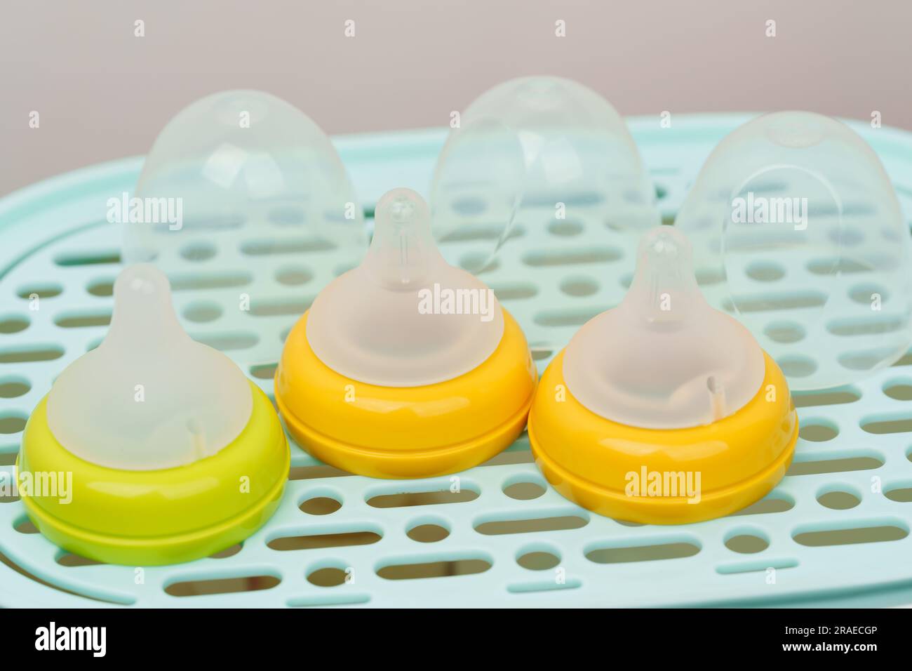 plastic nipple of the baby milk bottle on Steam sterilizer Stock Photo - Alamy
