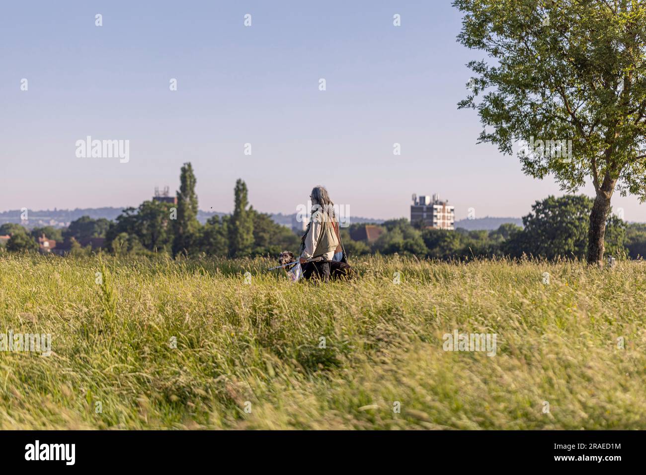 Brent, London, England, England, Local Area Photography Stock Photo - Alamy Brent, London, England, England, Local Area Photography Stock Photo - Alamy