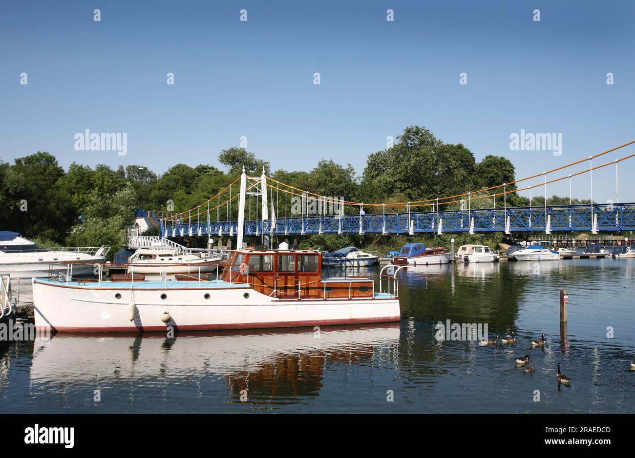 A vintage motor launch by Teddington suspension bridge over the river ...
