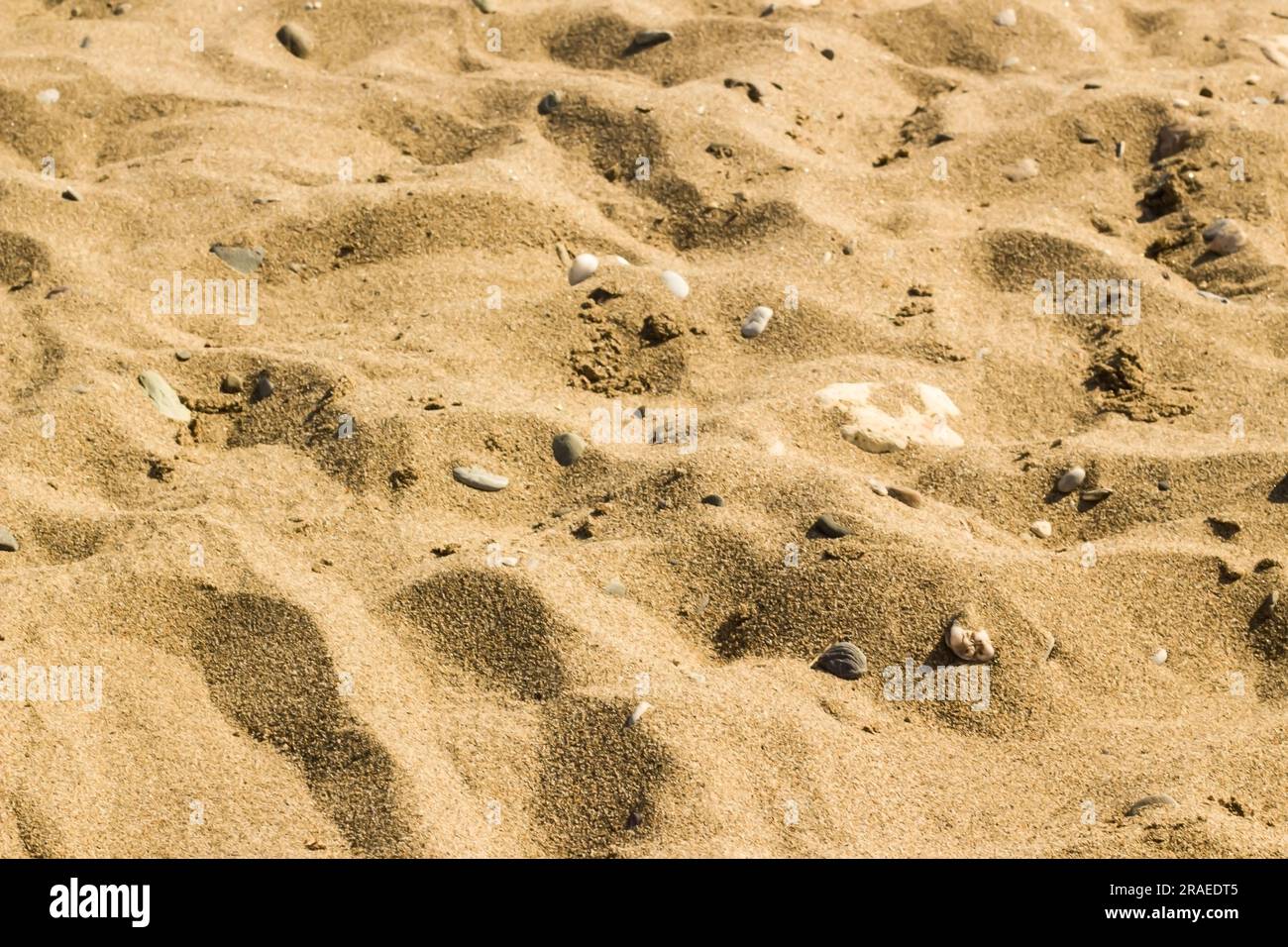 Print shoe desert sand hi-res stock photography and images - Alamy