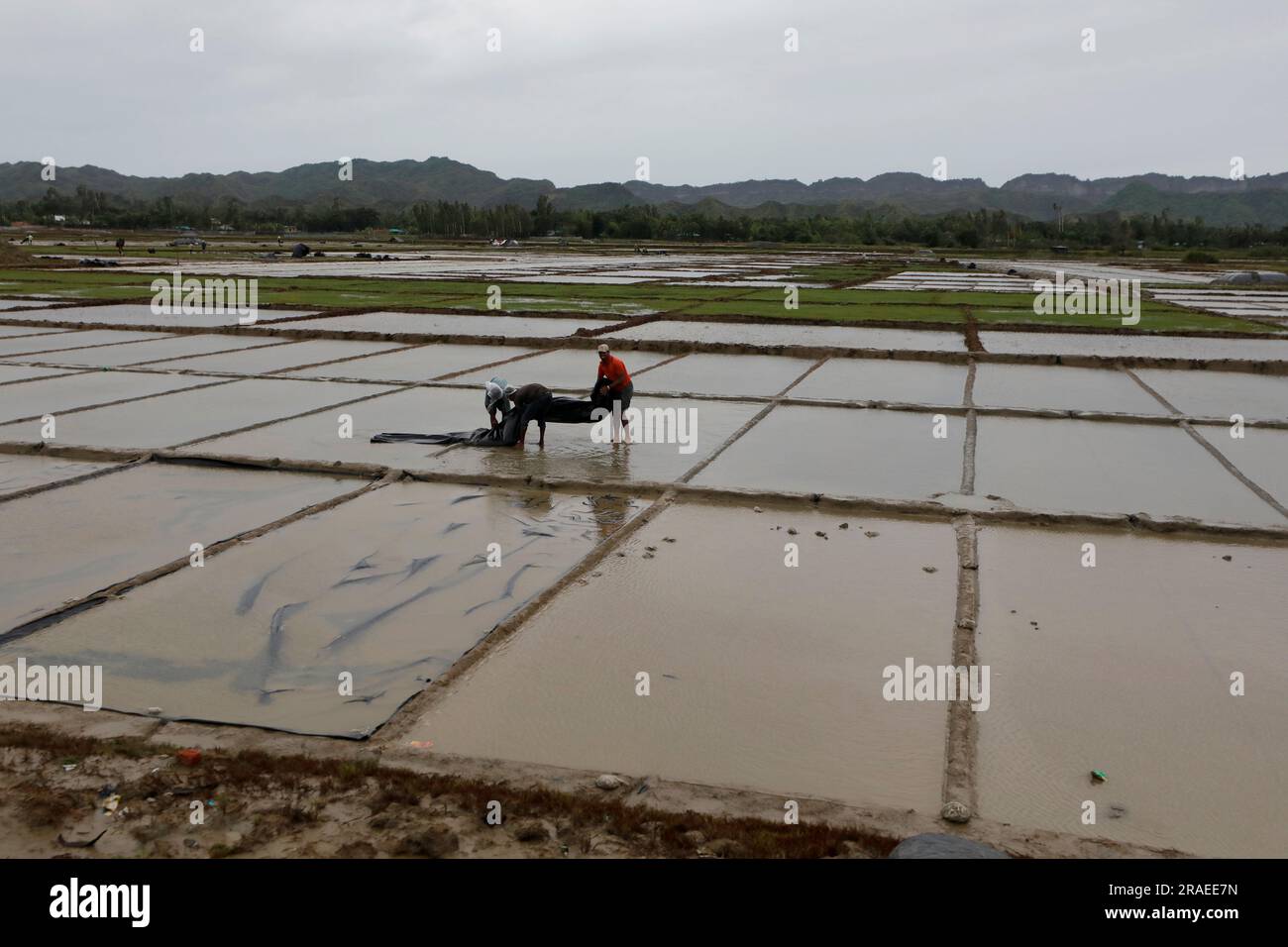 Cox's bazar, Bangladesh - May 15, 2023: Farmers are collecting salt ...