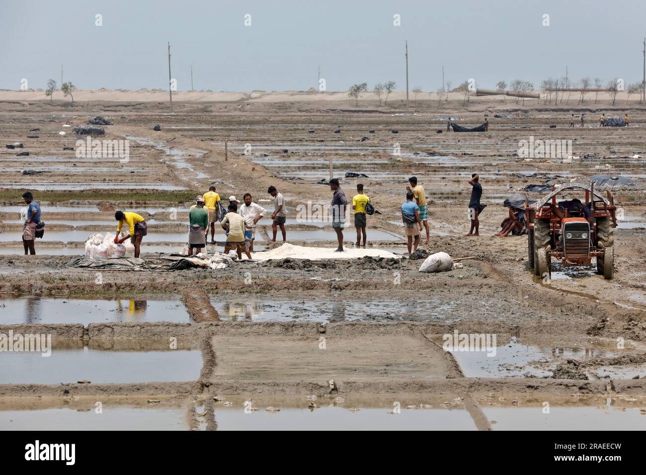 Cox's bazar, Bangladesh - May 15, 2023: Farmers are collecting salt ...