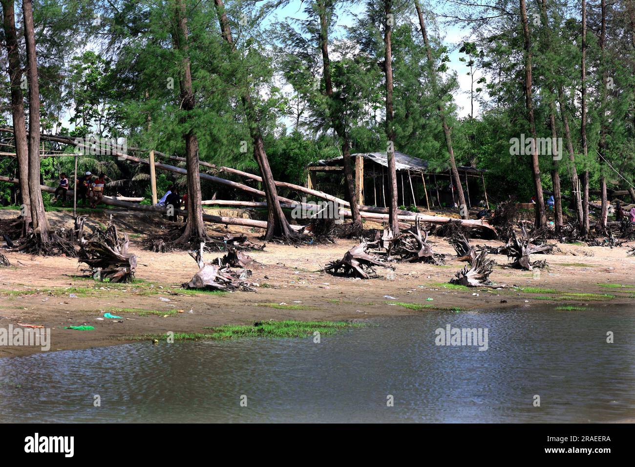 Anwara hi-res stock photography and images - Alamy
