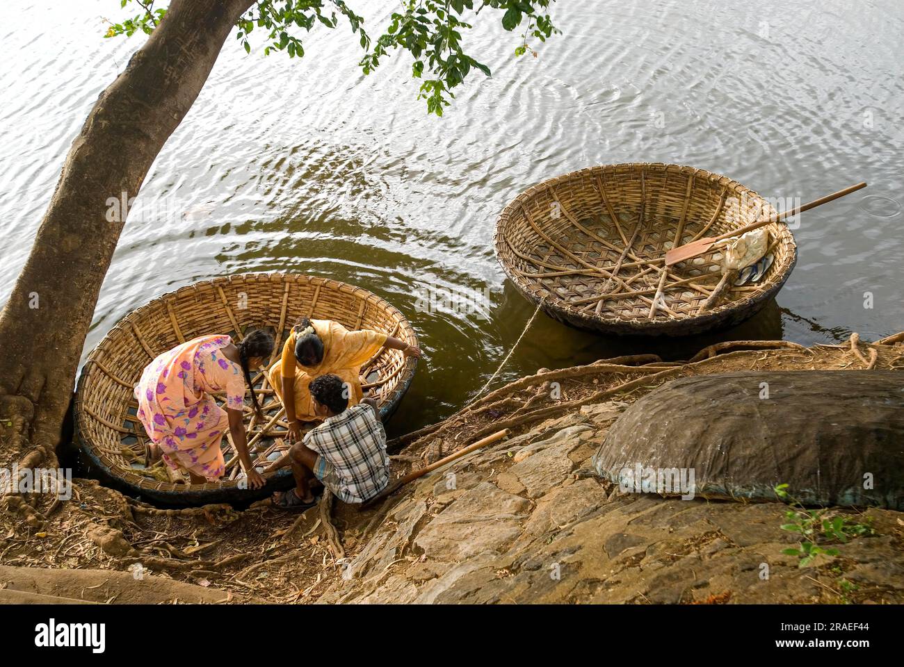Coracle ride at the River at Kodiveri near Sathyamangalam, Tamil Nadu ...