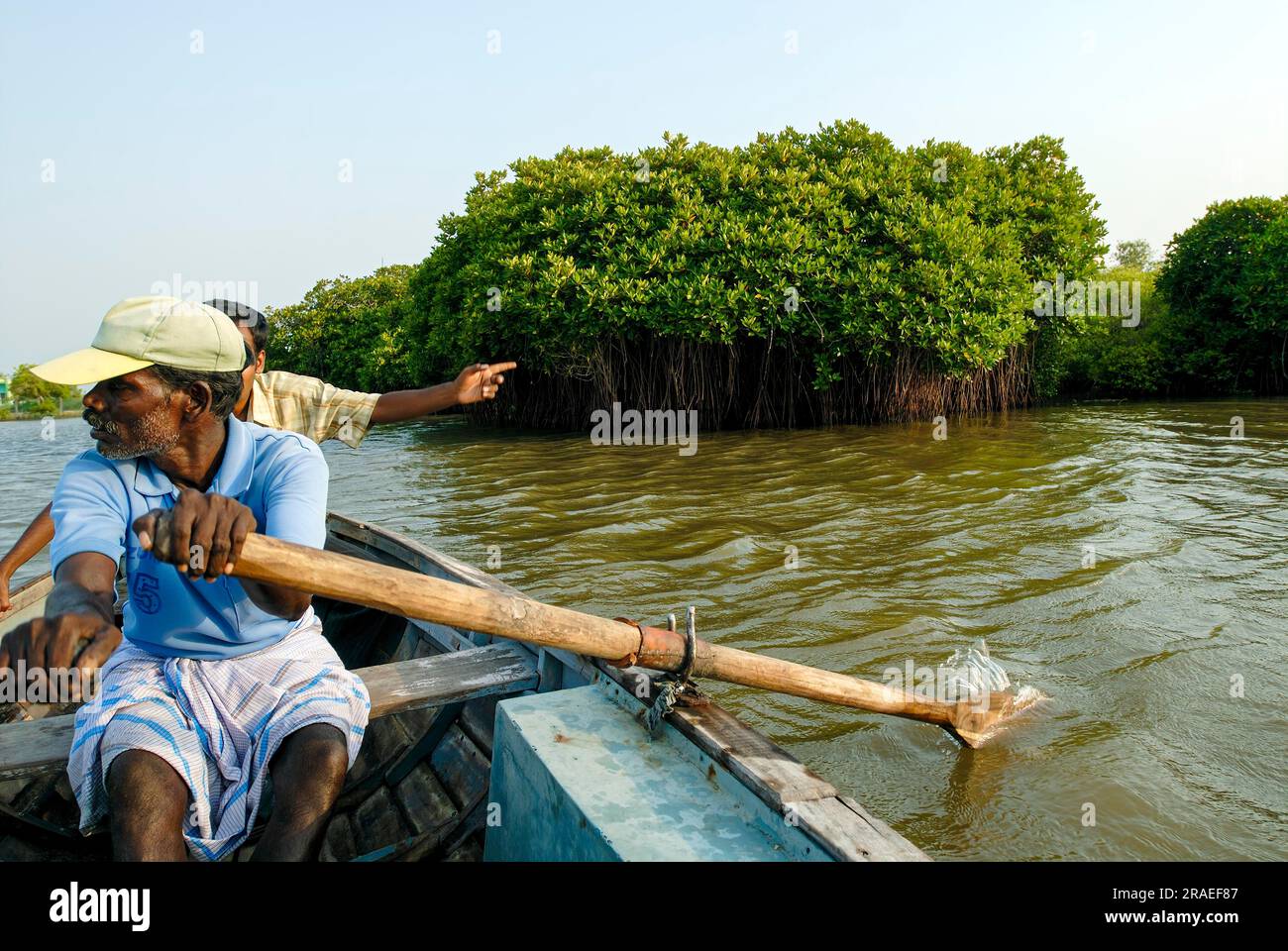 Tourists enjoying mangroves in lagoons at Pichavaram mangrove forest ...