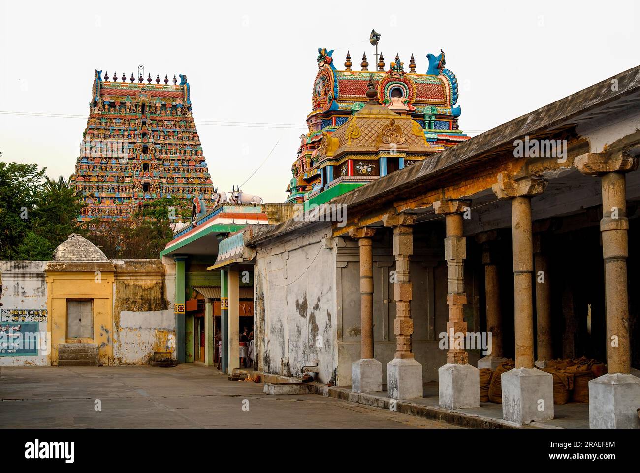 Tamil Nadu South India