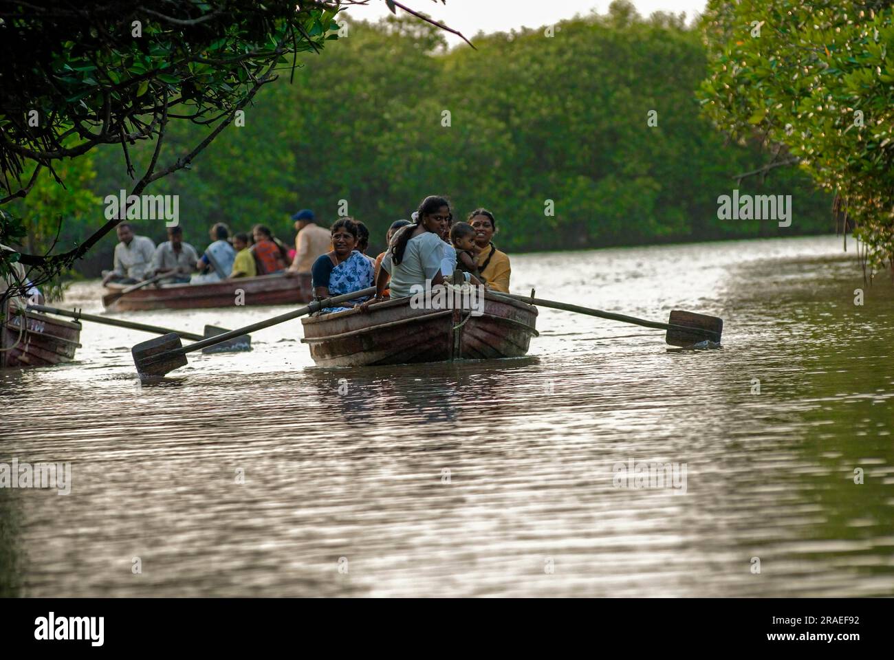 Tourists enjoying boating in backwater at Pichavaram mangrove forest ...