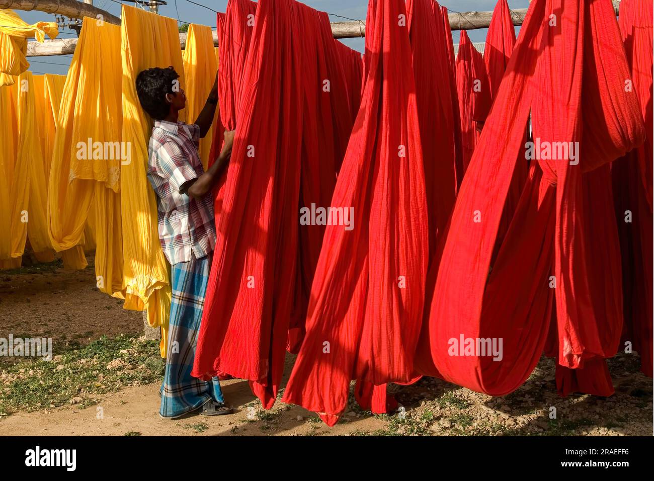Fabric drying yard, garment industry, Tiruppur Tirupur, Tamil Nadu ...