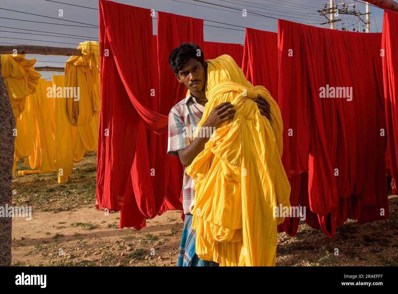 Fabric drying yard, garment industry, Tiruppur Tirupur, Tamil Nadu ...