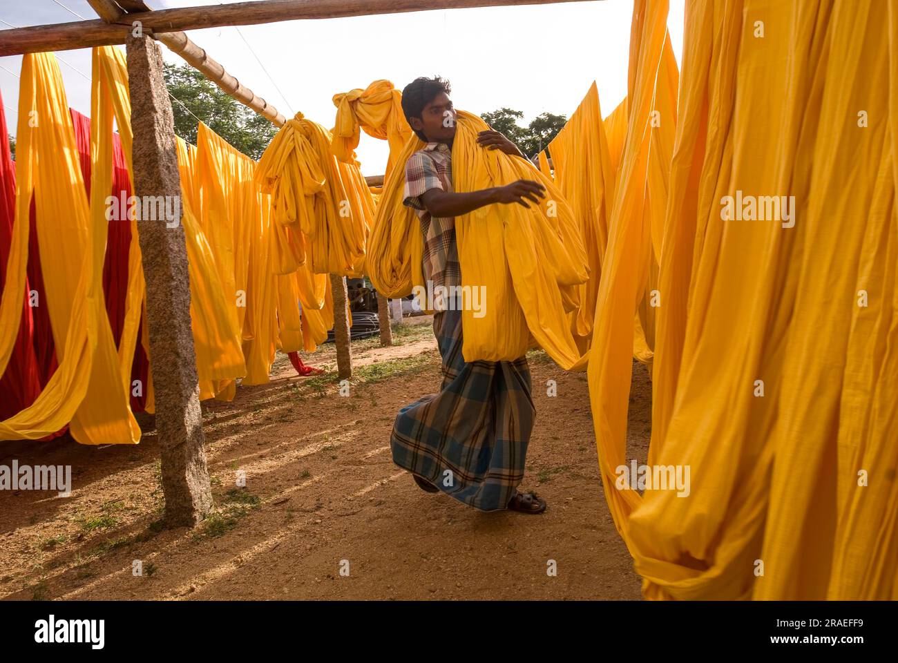 Fabric drying yard, garment industry, Tiruppur Tirupur, Tamil Nadu ...