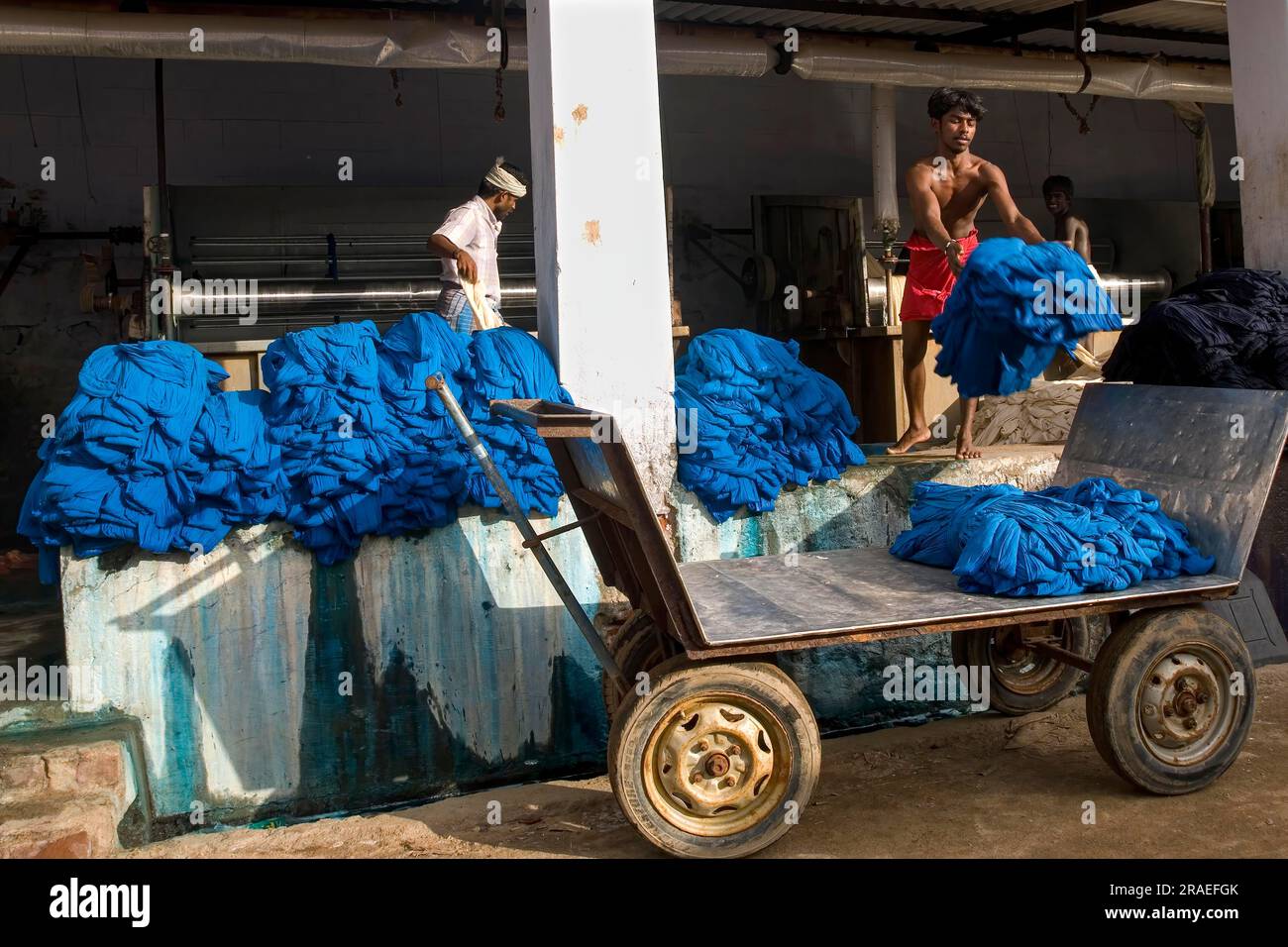 Dyed fabric being loaded on a hand cart to the drying yard, garment ...