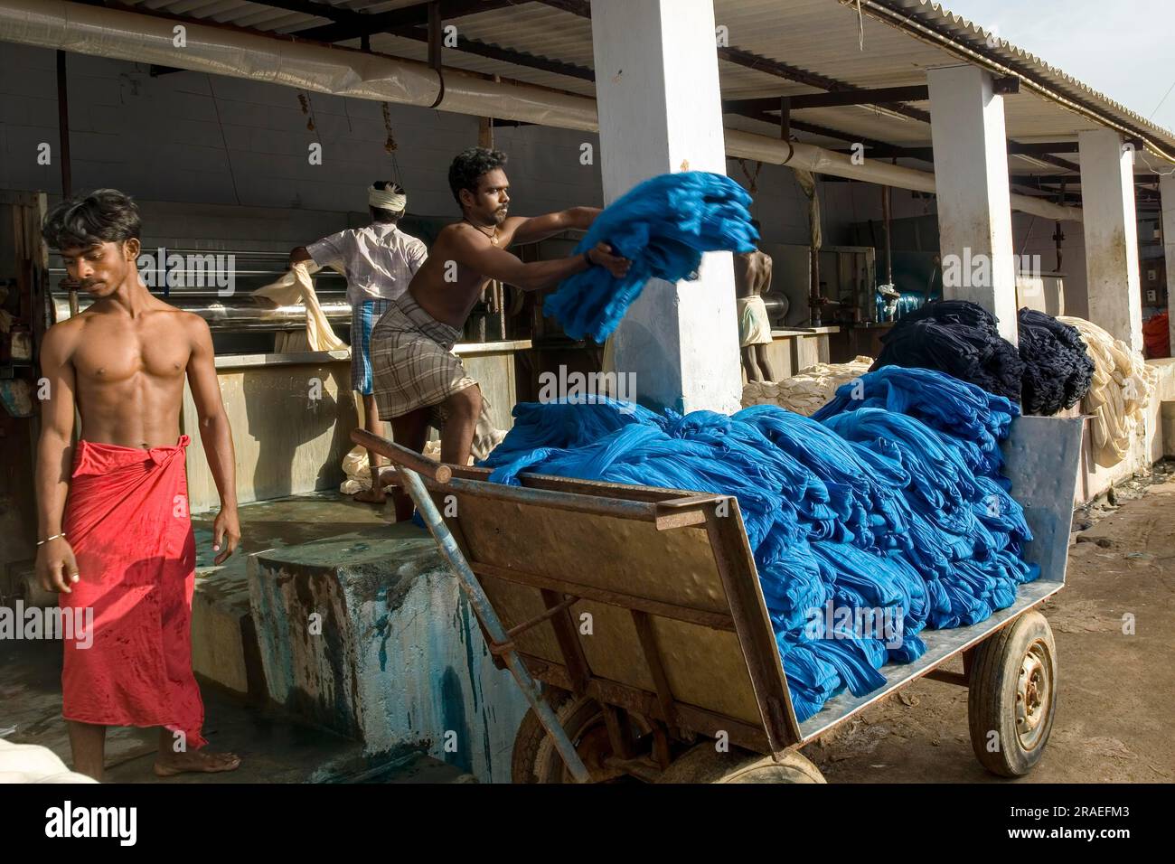 Dyed fabric being loaded on a hand cart to the drying yard, garment ...