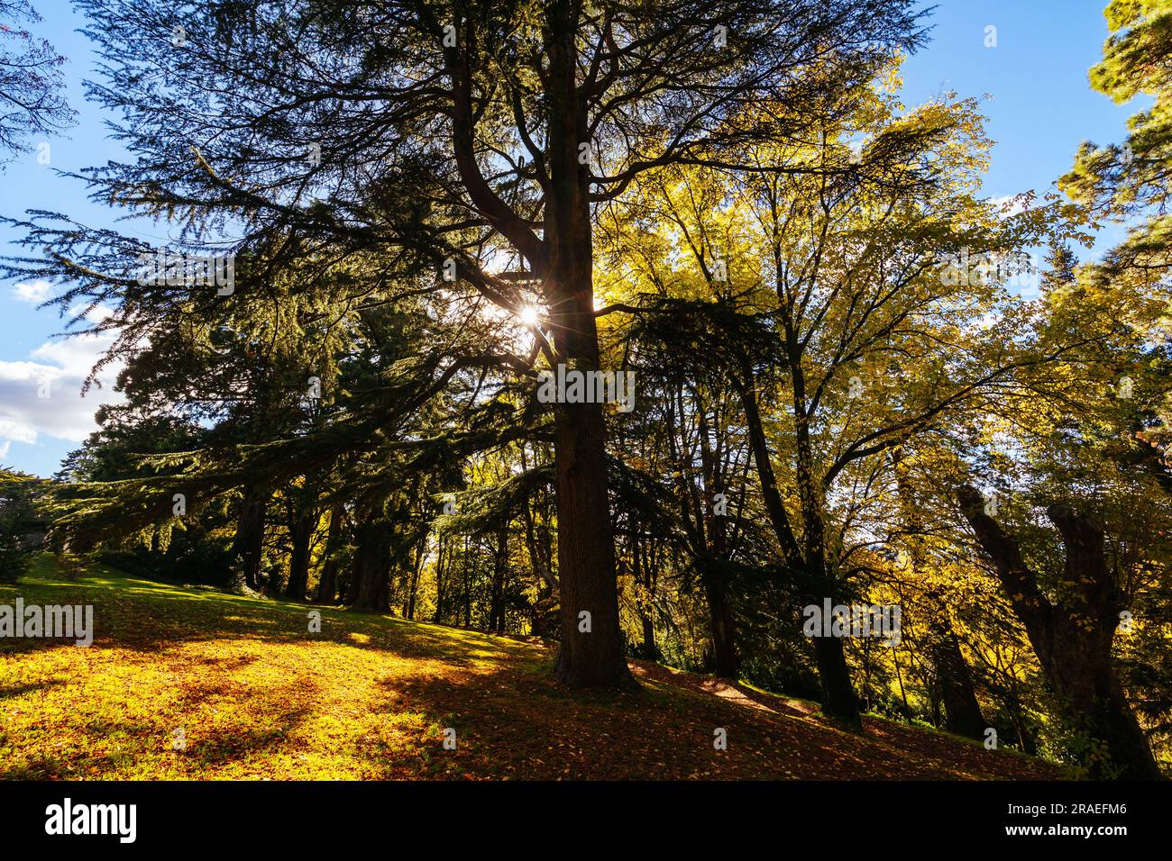 Wombat hill gardens hi-res stock photography and images - Alamy