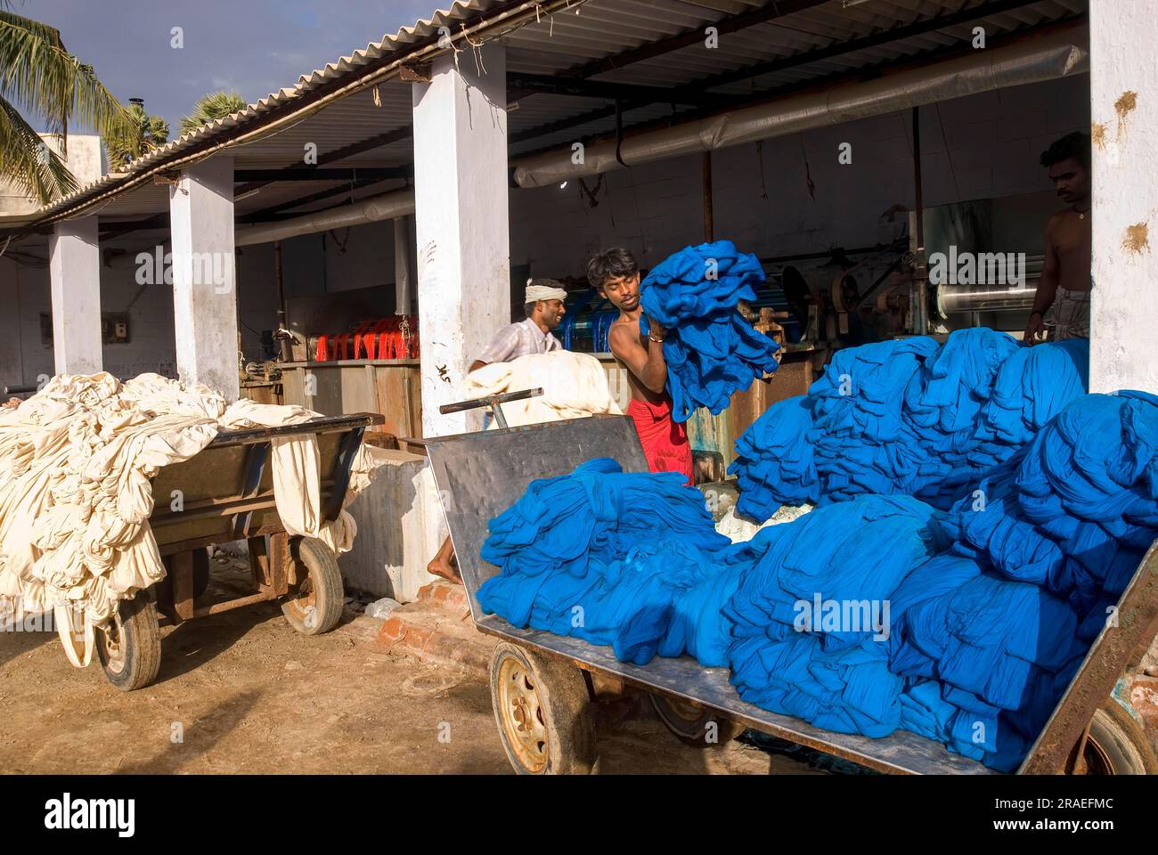 Dyed fabric being loaded on a hand cart to the drying yard, garment ...