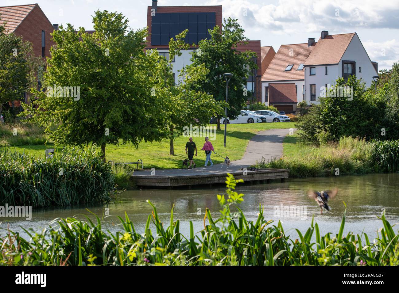 Housing in the City of York, UK. Derwenthorpe Eco Housing Project, York ...