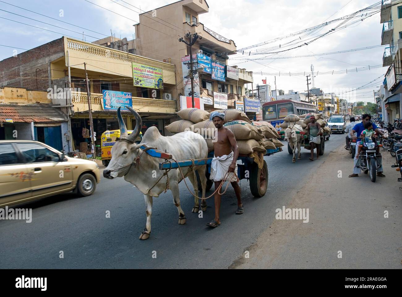 Bullock carts india hi-res stock photography and images - Alamy