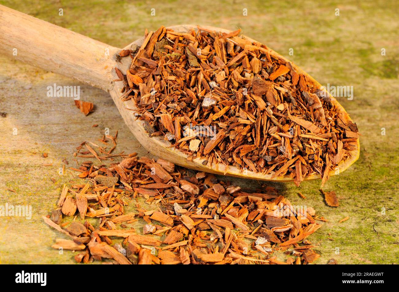 Cinchona tree hi-res stock photography and images - Alamy